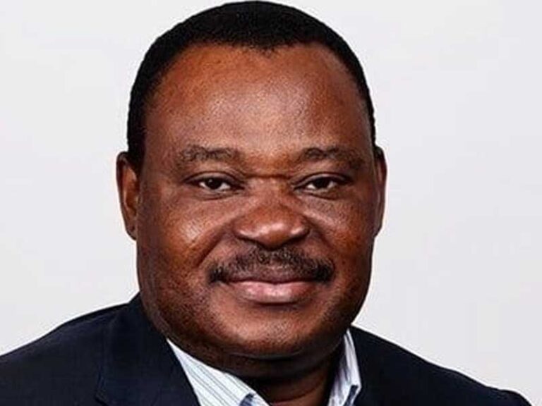 No Country Has Absolute Sovereignty, Says Jimoh Ibrahim - ThisDay.com.ng